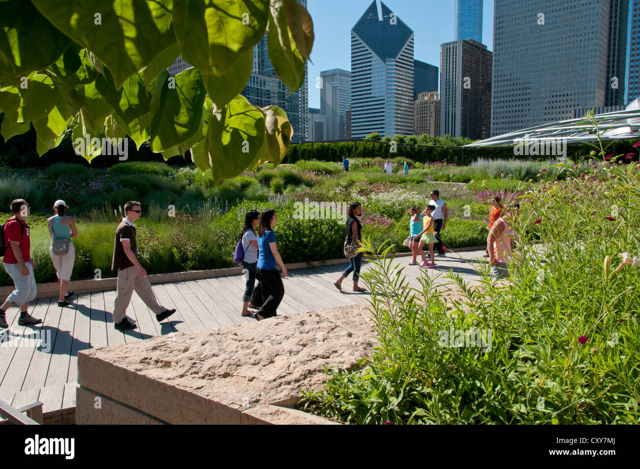 The Lurie Garden, 2.5 acres of native plants, part of Millennium Park ...