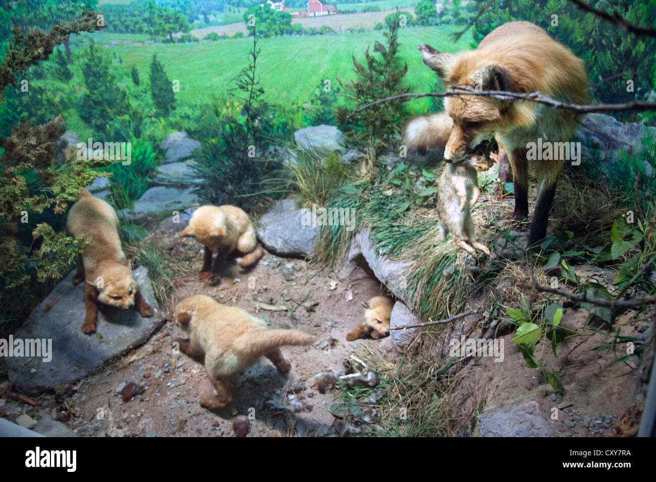 Springfield Science Museum MA Stock Photo - Alamy