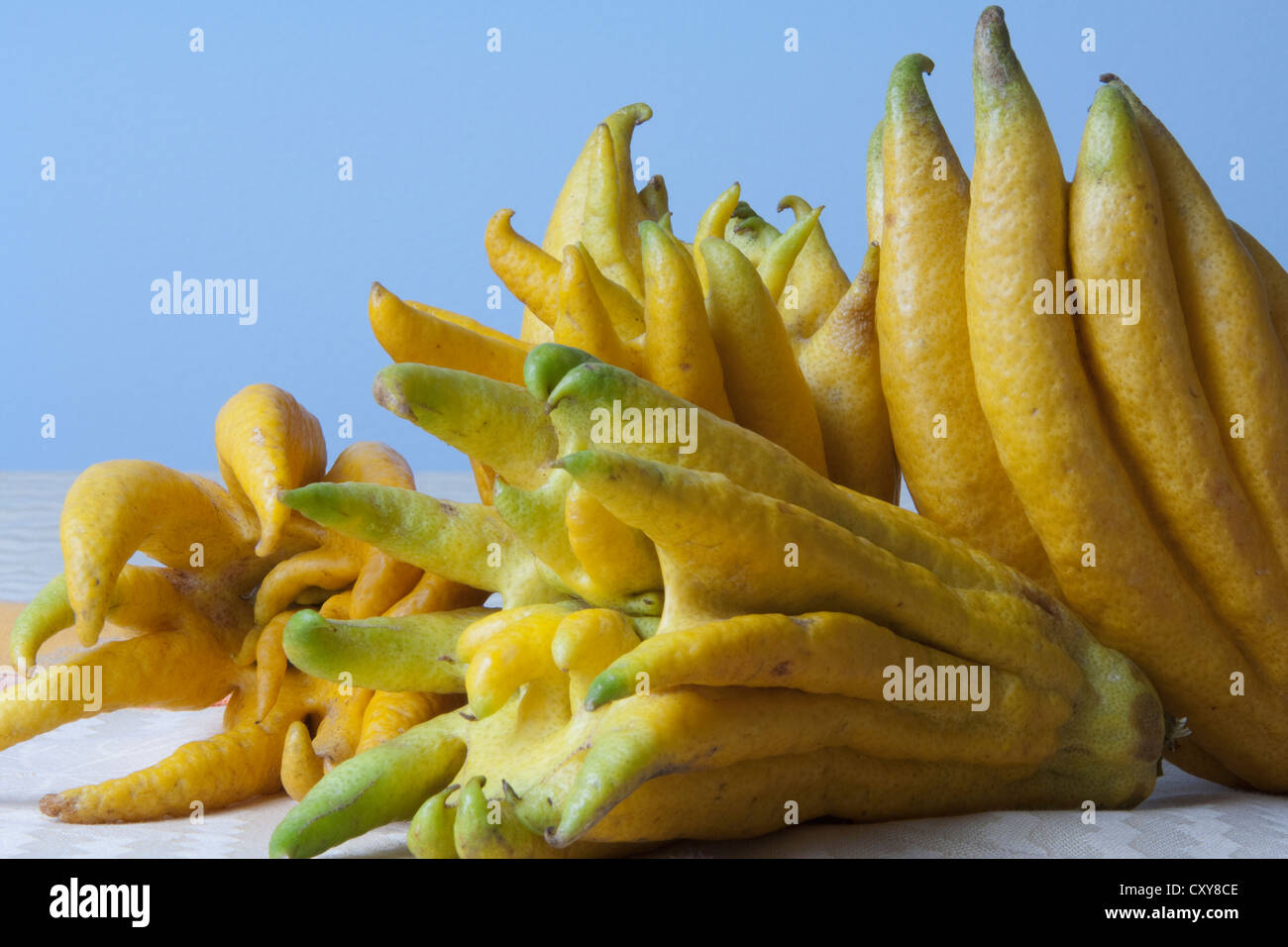 Close up of buddha's hand fruit Stock Photo - Alamy