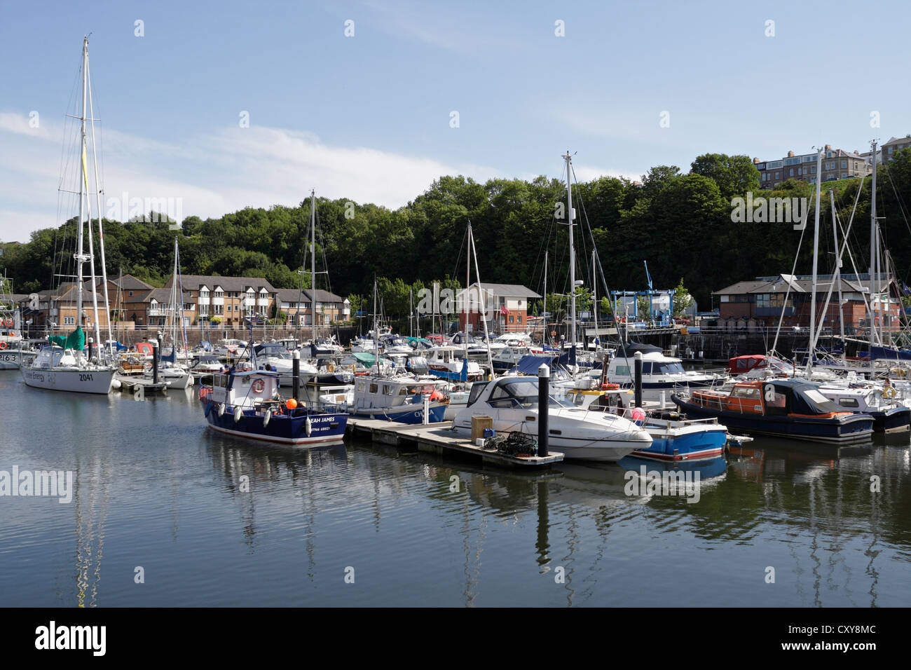 Many Boats moored in Penarth marina Wales Stock Photo - Alamy