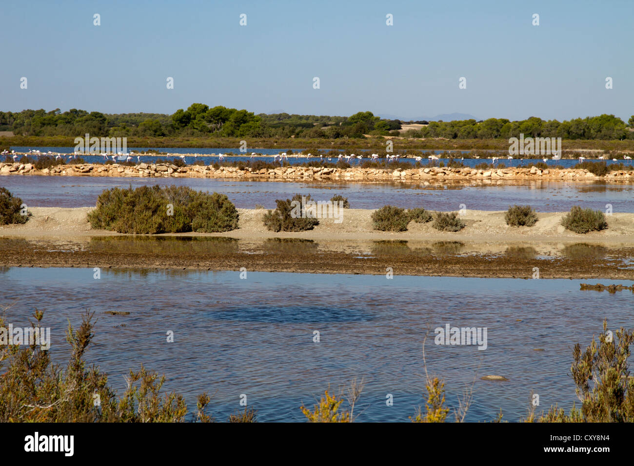 Flats mallorca hi-res stock photography and images - Alamy