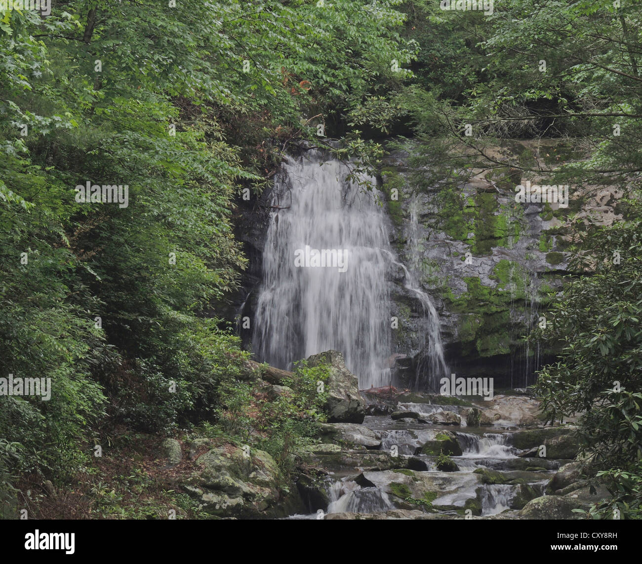 Meigs Falls along the Little River Road is a popular stop for visitors ...