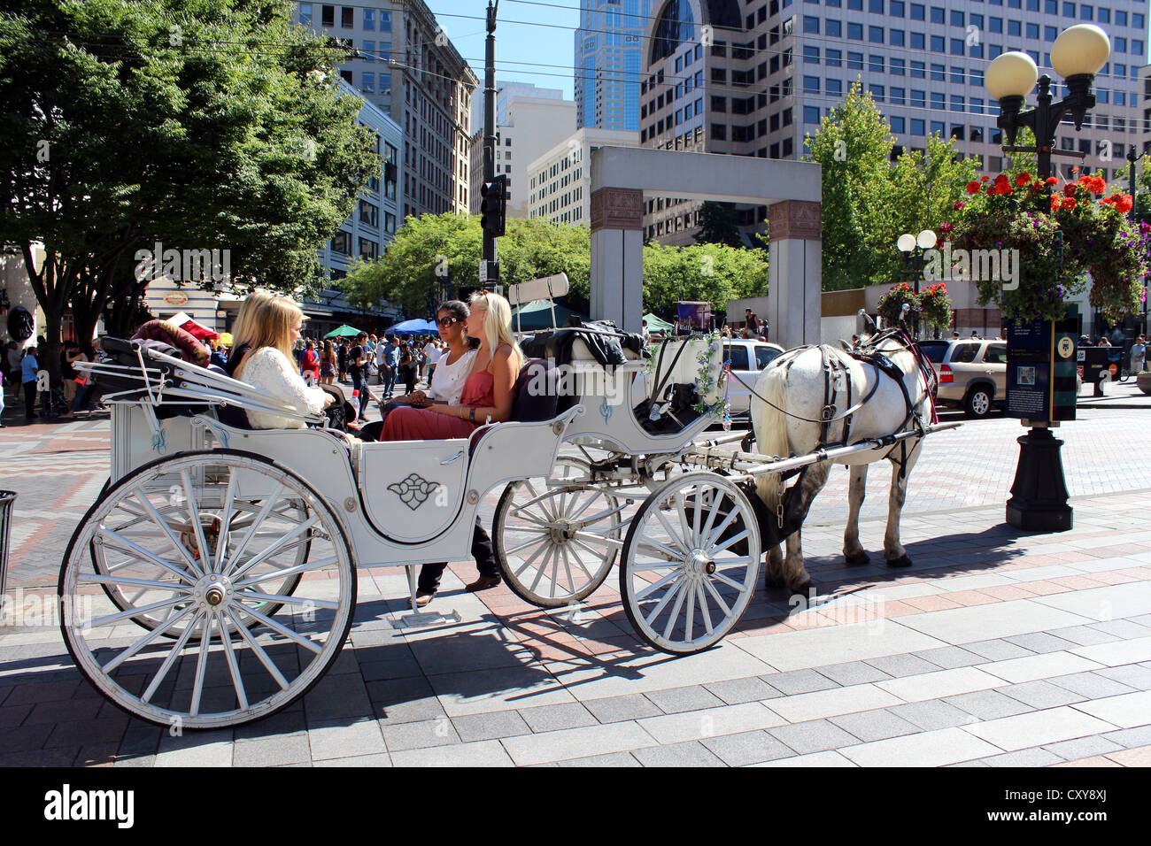 Carriage ride hi-res stock photography and images - Alamy