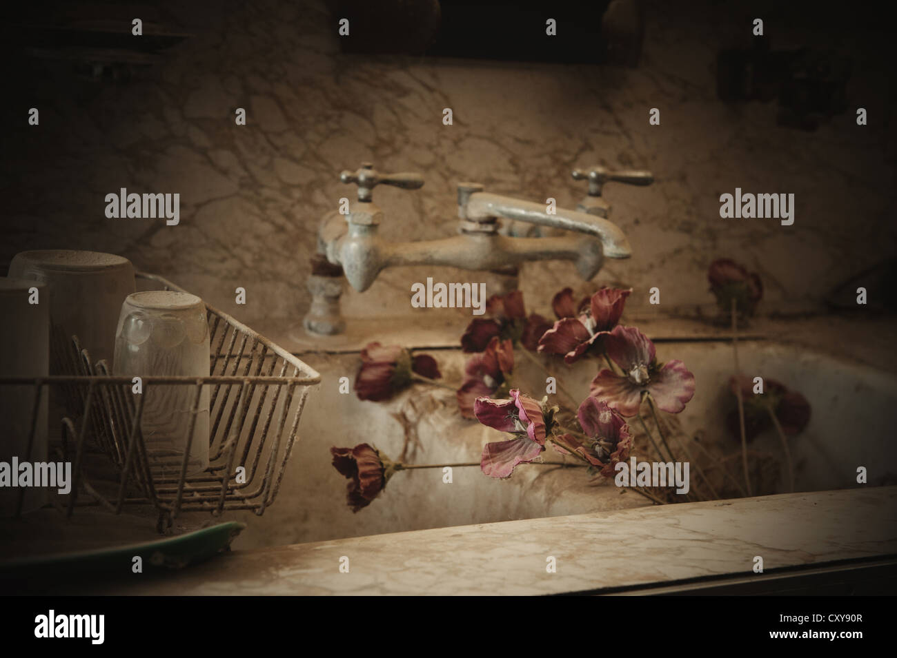 1950s kitchen sink hi-res stock photography and images - Alamy