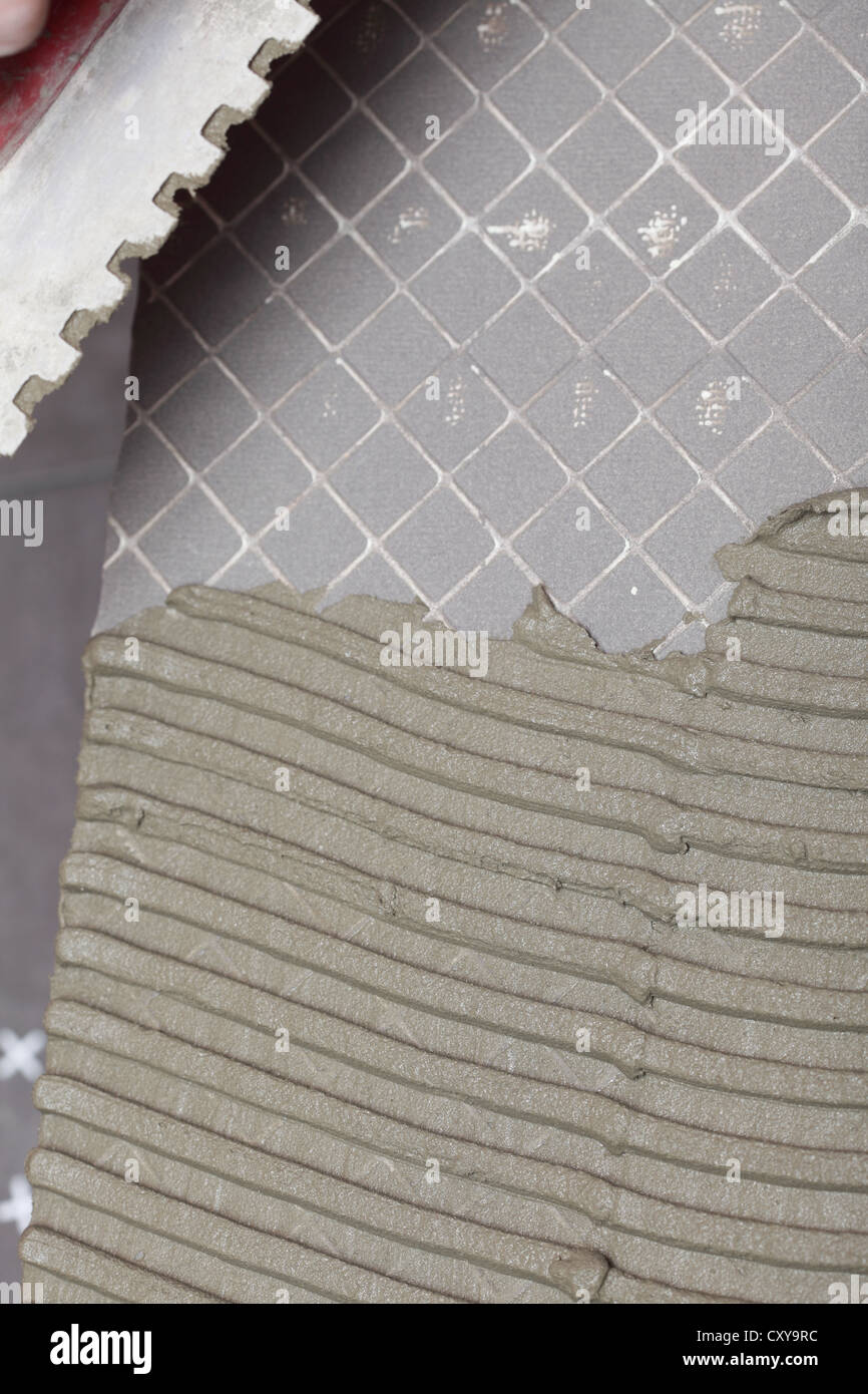 Construction worker is tiling at home. Industry detail Stock Photo - Alamy