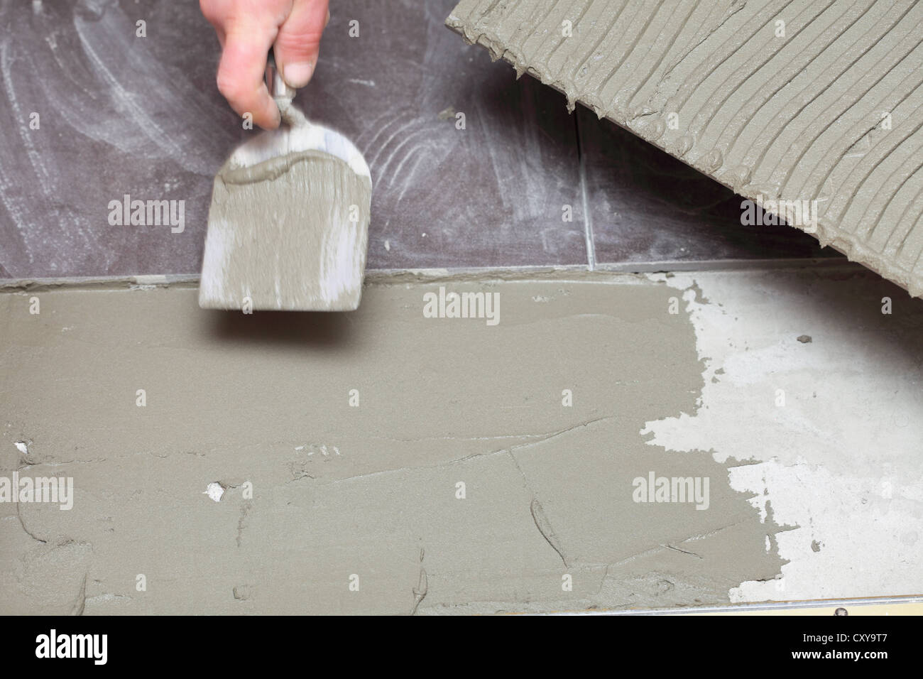 Man Construction worker is tiling at home, tile floor adhesive Stock ...