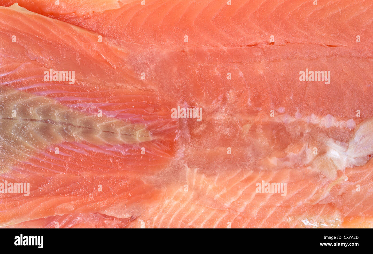 A very close view of a wild caught fillet of salmon Stock Photo - Alamy