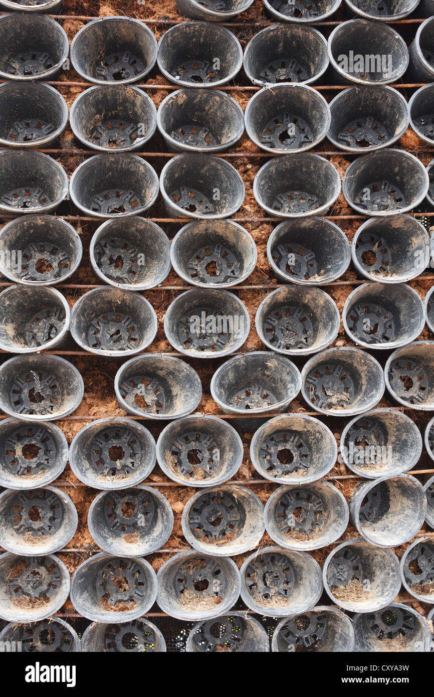 Flower pot hanging hi-res stock photography and images - Alamy