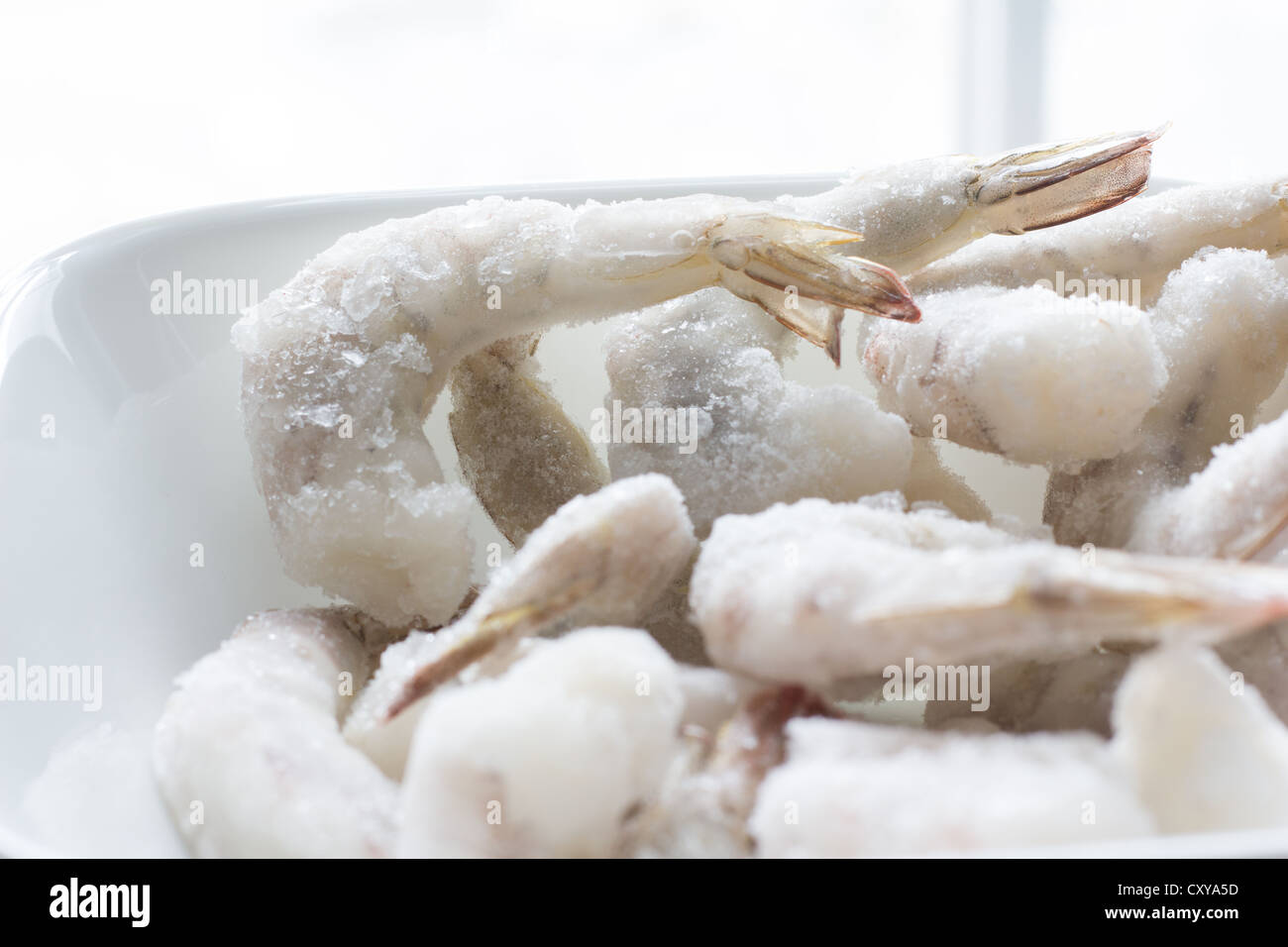 Frozen shrimp hi-res stock photography and images - Alamy