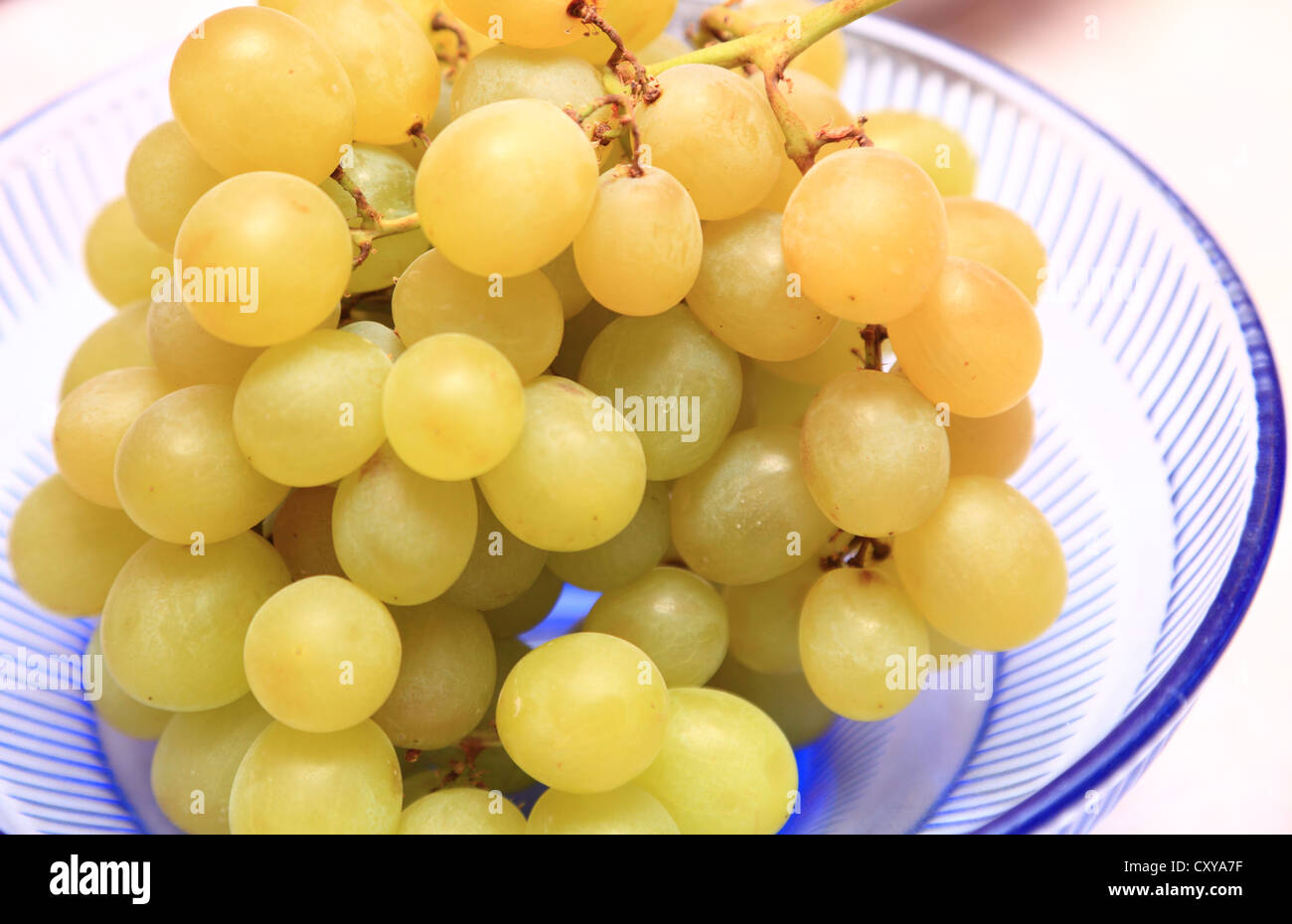 fresh grape fruits Stock Photo - Alamy