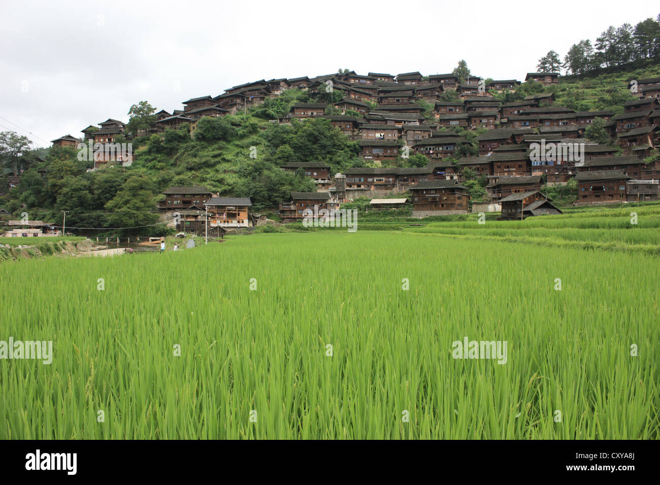 Xijiang Miao Village, Guizhou, China. The largest Miao Village in China ...