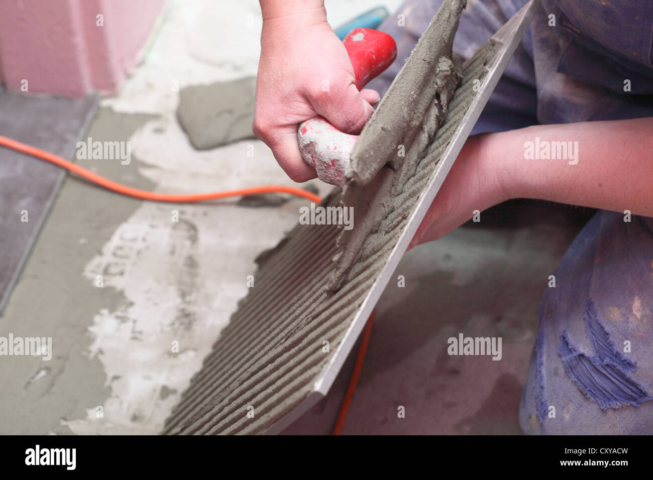 Man Construction worker is tiling at home, tile floor adhesive Stock ...