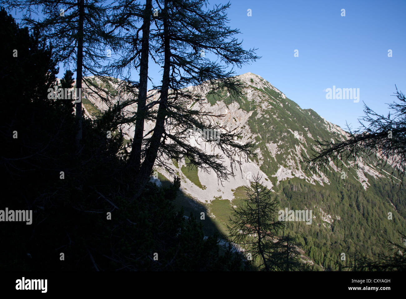 Karavenke alps hi-res stock photography and images - Alamy