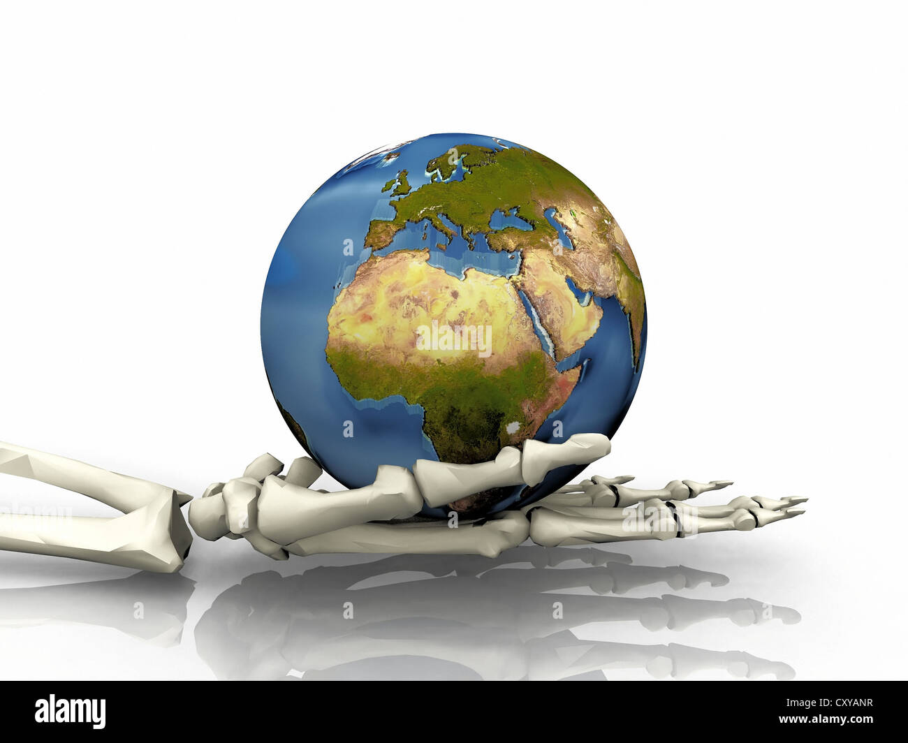Skeleton map hi-res stock photography and images - Alamy