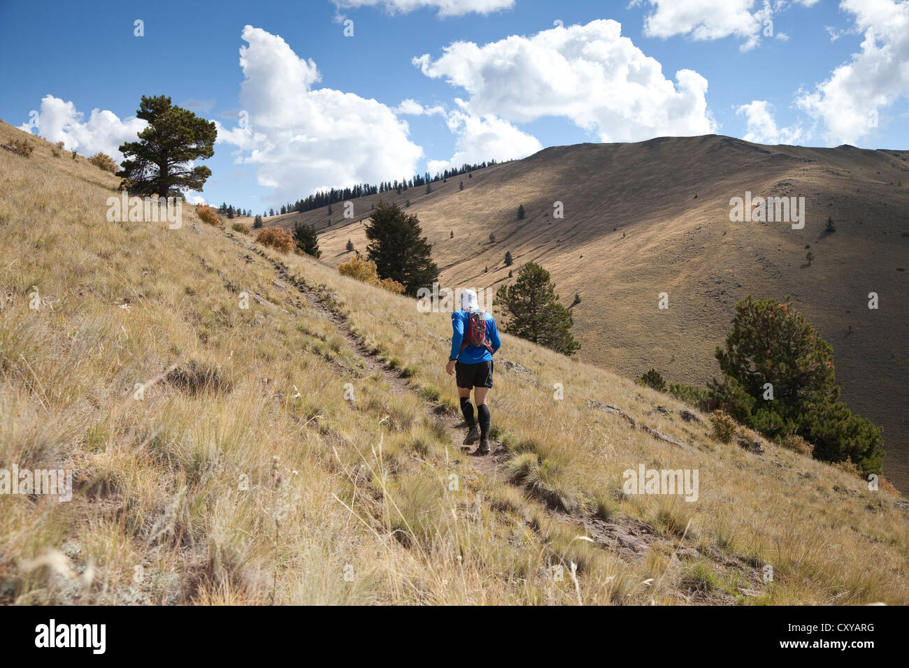 Mount taylor new mexico hi-res stock photography and images - Alamy
