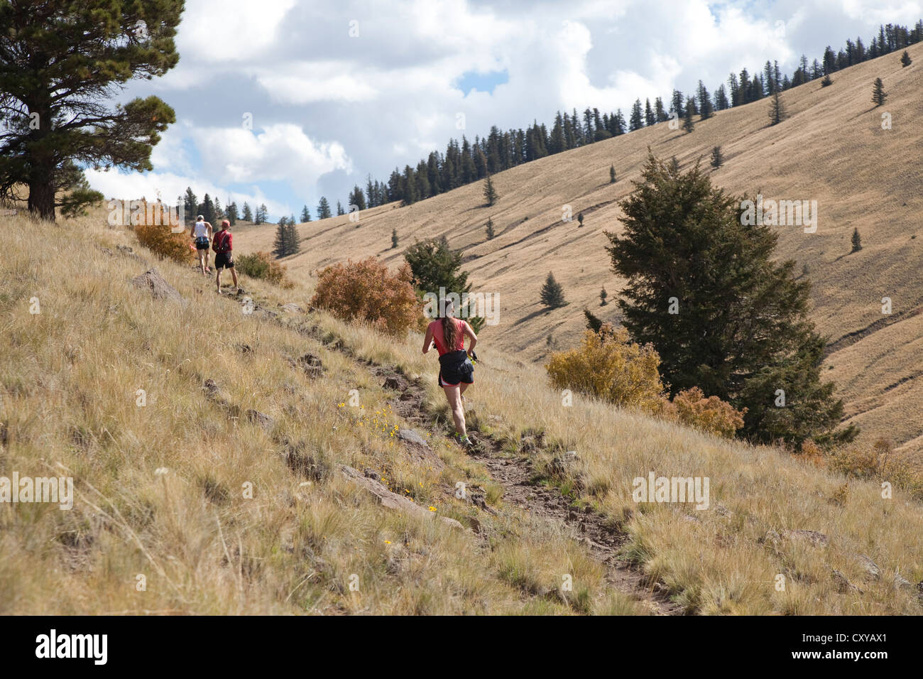 Mount taylor new mexico hi-res stock photography and images - Alamy