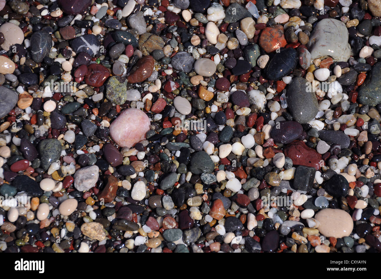 Pebbles on the beach Stock Photo - Alamy