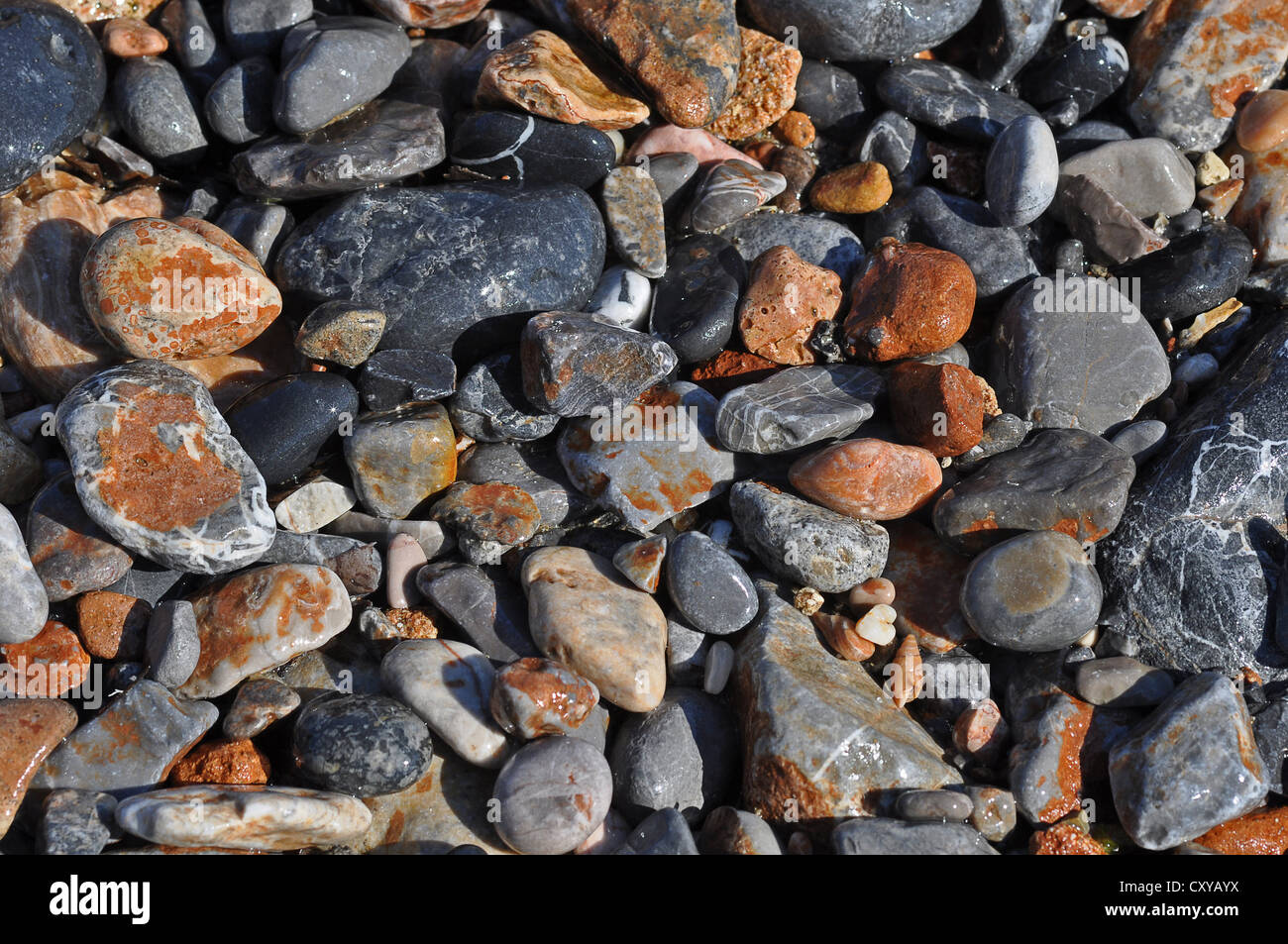 Pebbles on the beach Stock Photo - Alamy