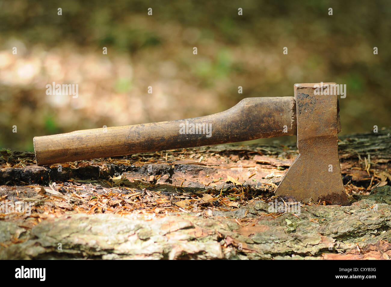 Rusty old axe in the forest Stock Photo - Alamy