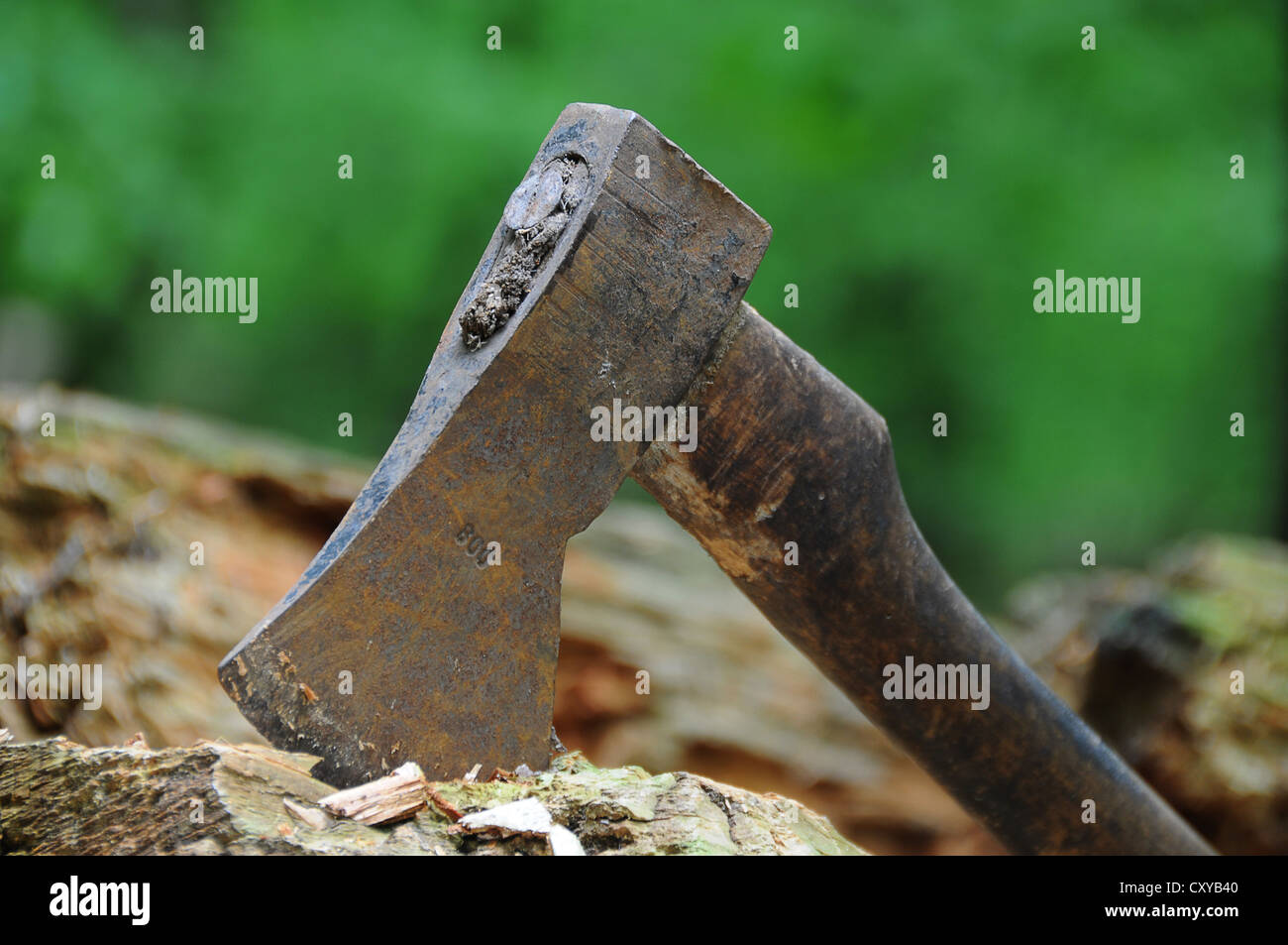 Rusty old axe in the forest Stock Photo - Alamy