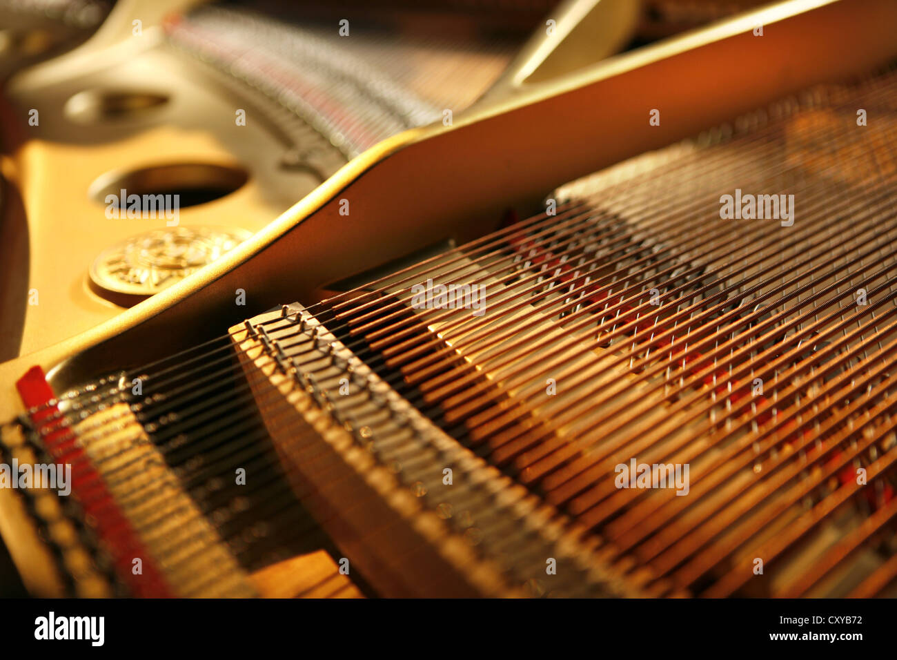 Piano strings closeup hi-res stock photography and images - Alamy