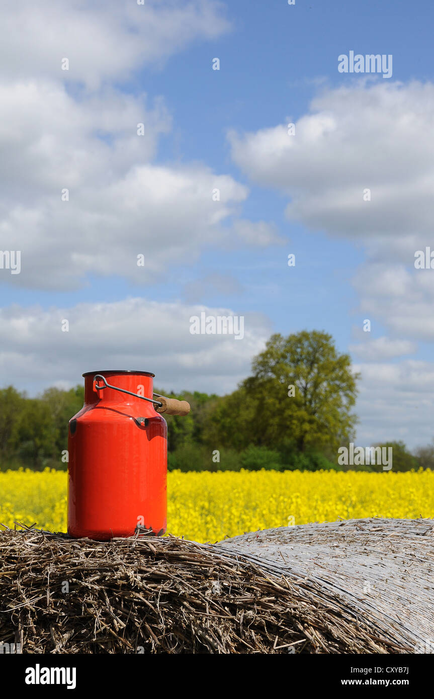 Red milk churn standing on a bale of straw, a field of rape at the back ...