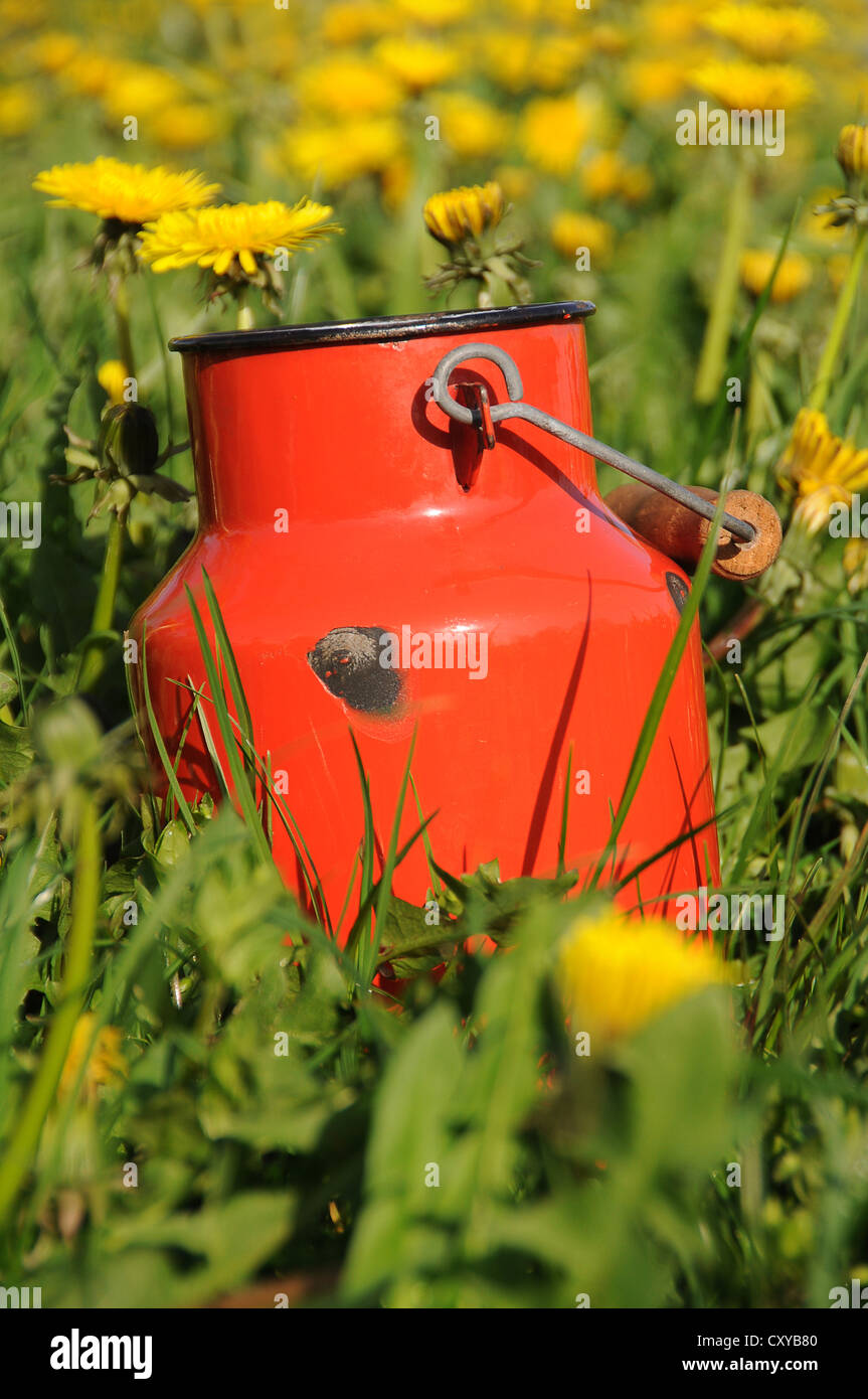 Old milk churn hi-res stock photography and images - Alamy