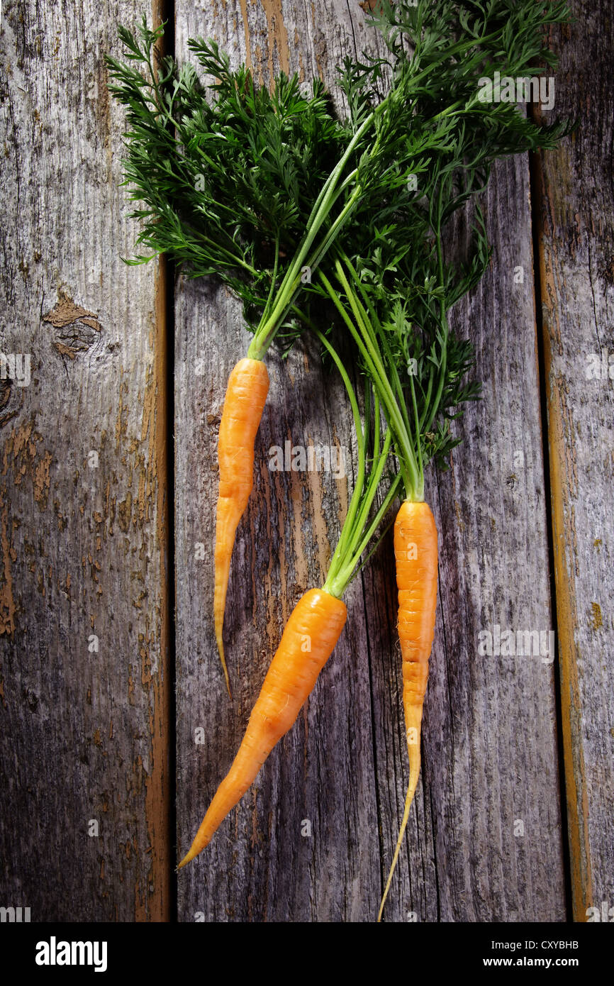 Fresh carrots on rustic wood Stock Photo - Alamy