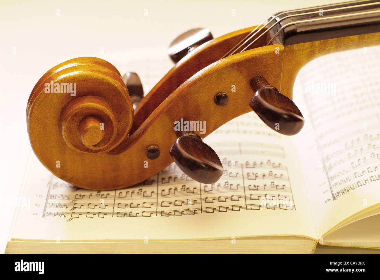 Violin pegbox with a scroll on sheet music Stock Photo - Alamy