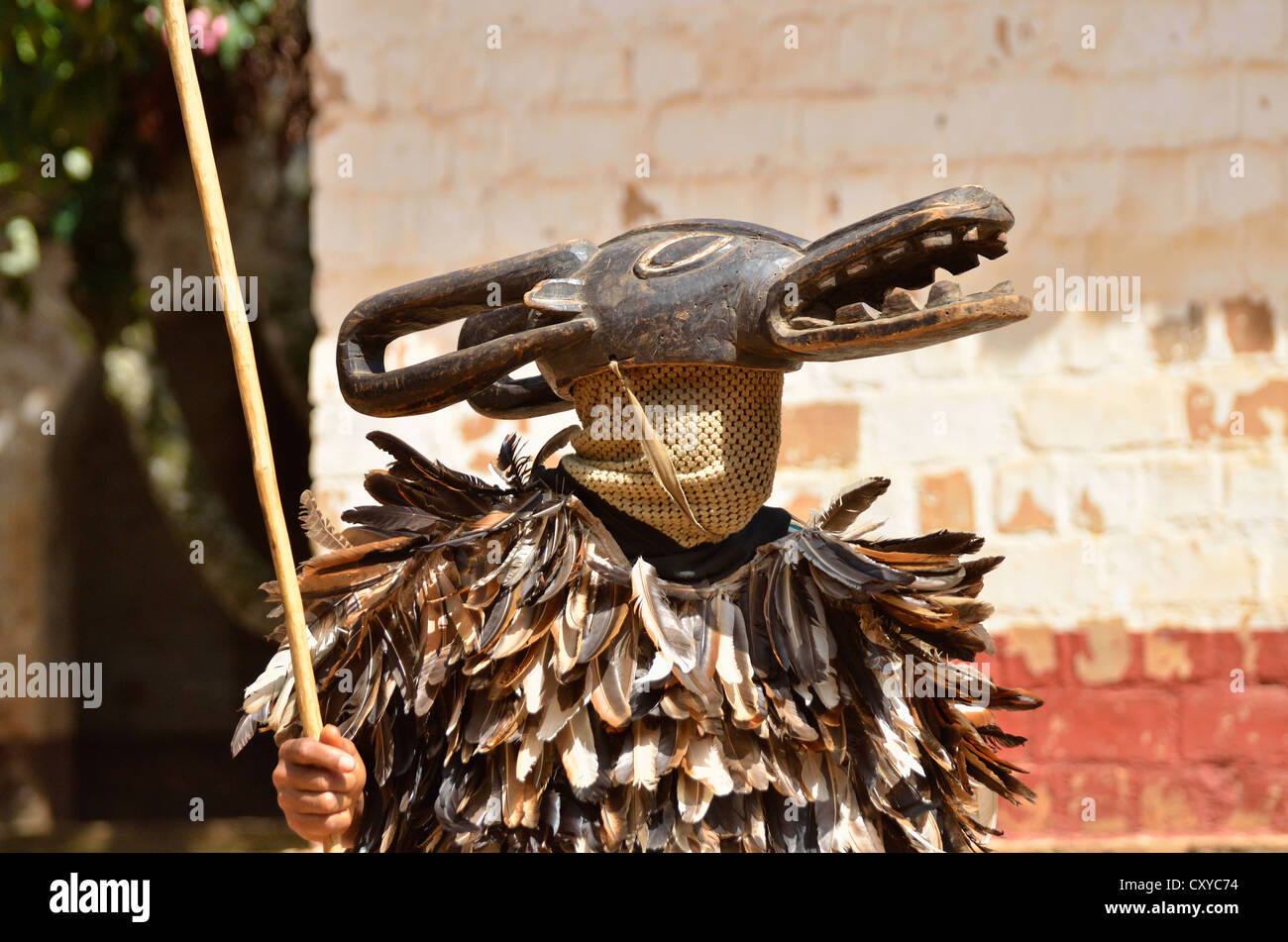 Traditional dance at the palace of Bafut, one of the traditional ...