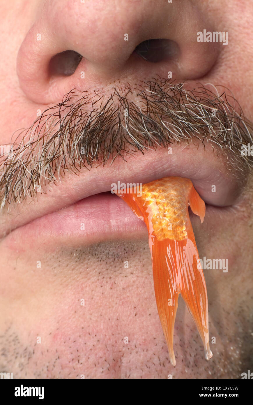 Man with goldfish hi-res stock photography and images - Alamy