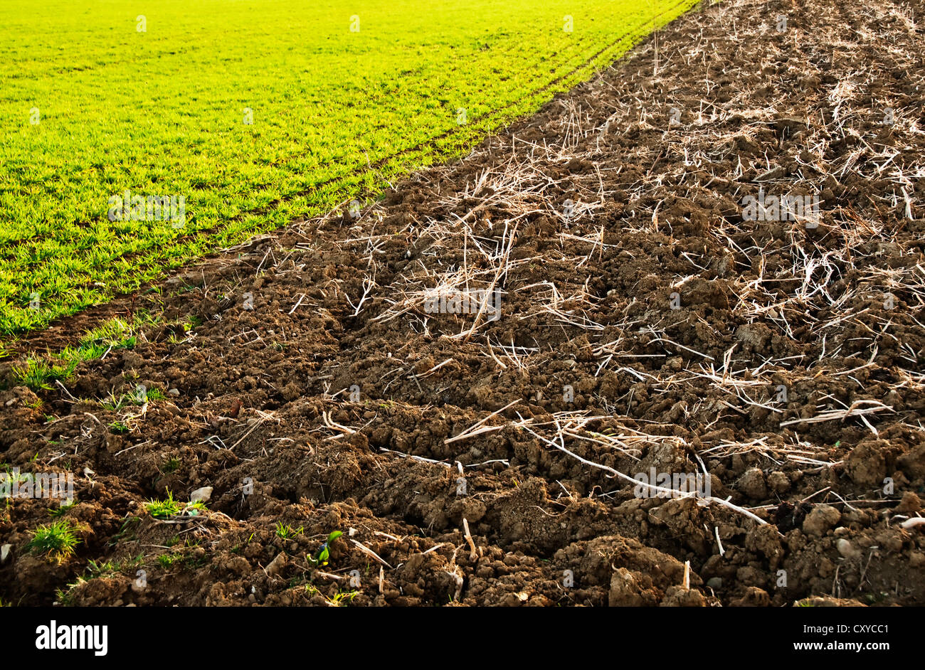 acre and green grass Stock Photo - Alamy