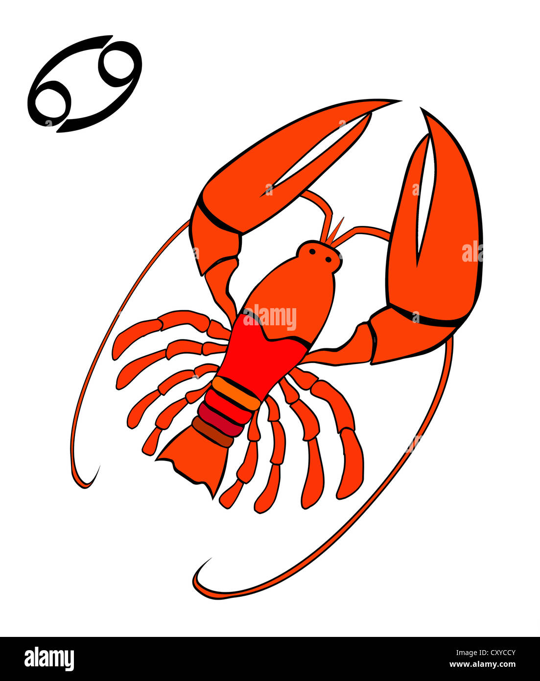 Cancer, horoscope sign, illustration Stock Photo - Alamy