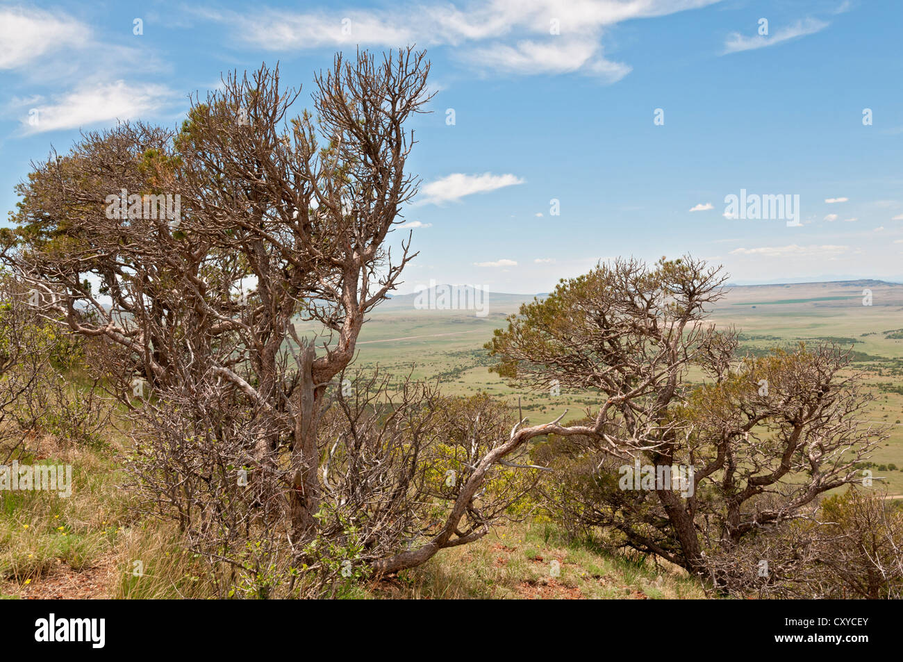 New Mexico, Capulin Volcano National Monument, view of surrounding ...