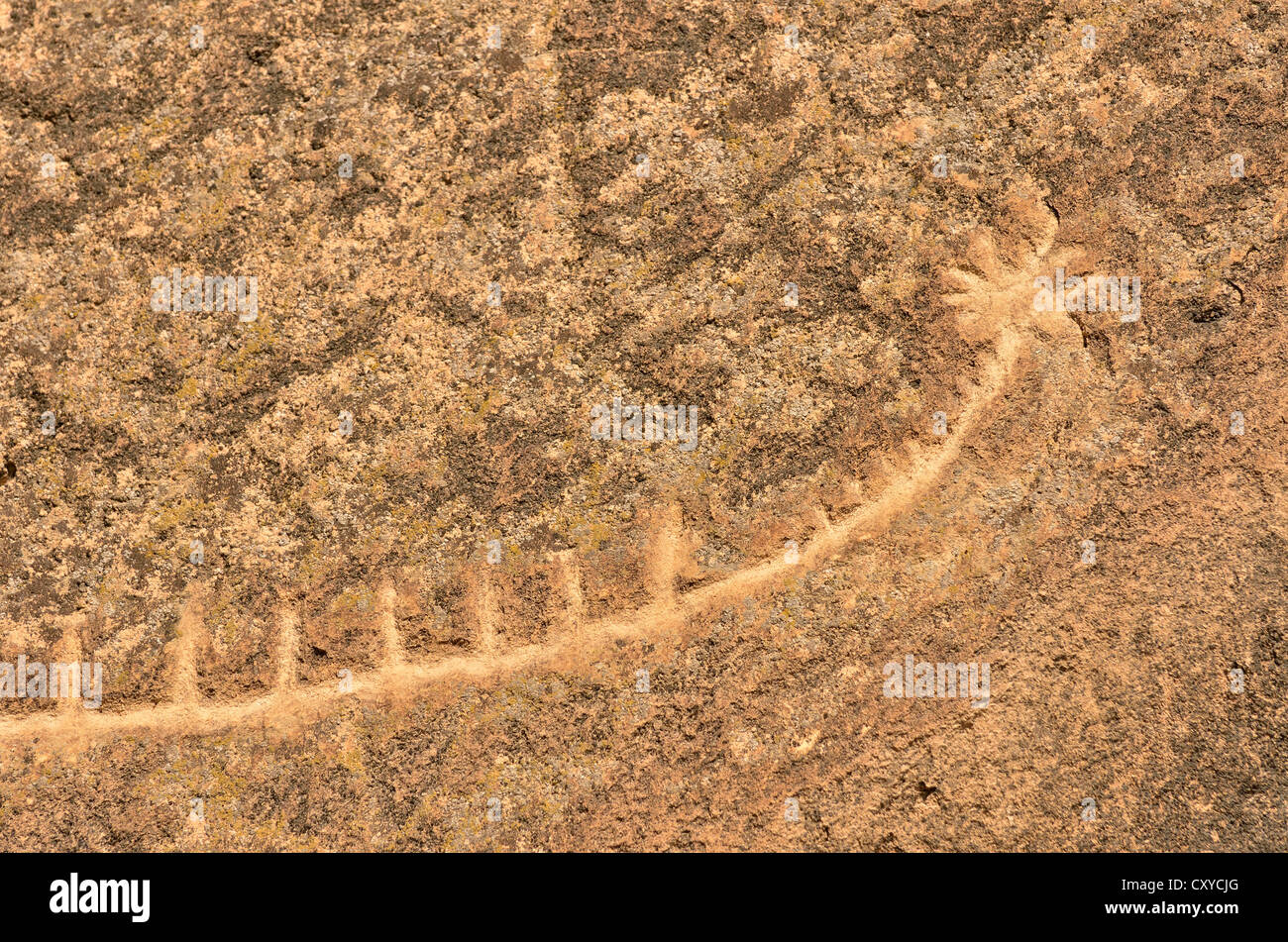 Stone Age rock carving of a boat in the UNESCO World Heritage site of ...