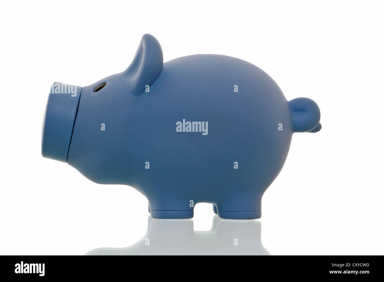 Blue piggy bank Stock Photo - Alamy