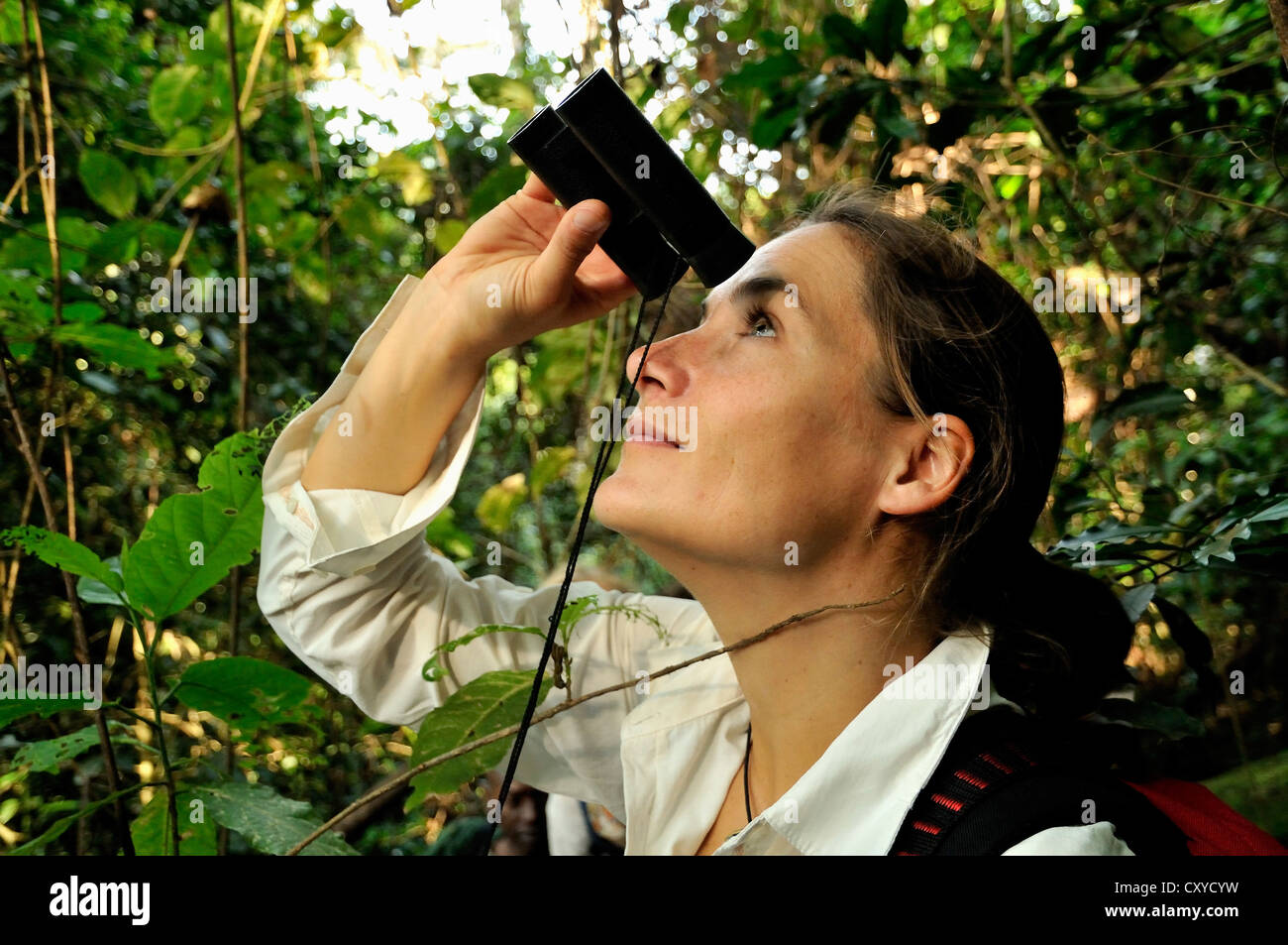 Female tourist observing monkeys in the Nyungwe Forest, Nyungwe ...
