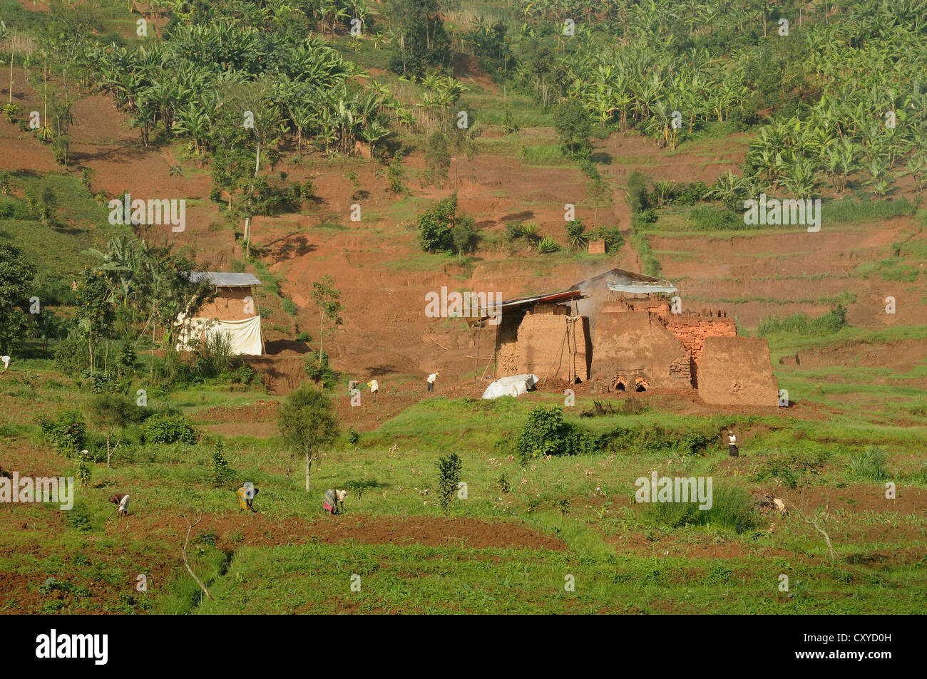 Musanze Rwanda High Resolution Stock Photography and Images - Alamy