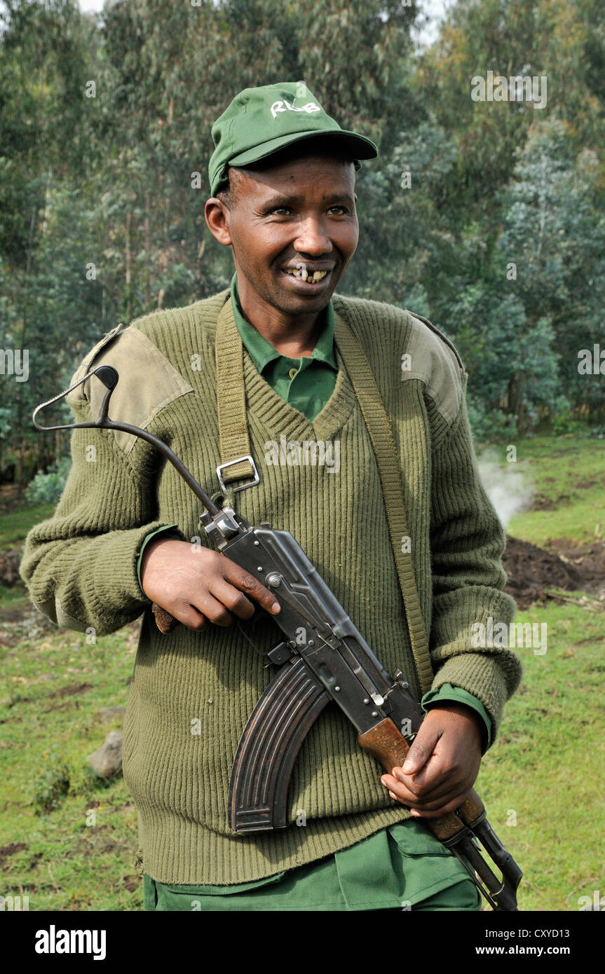 Park guide with machine gun during a gorilla trekking trip at the foot ...