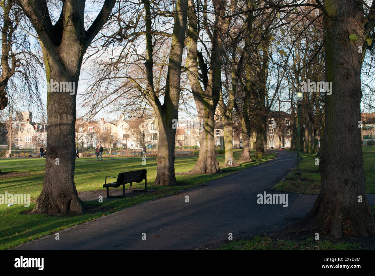 Path line with bare trees through the middle of Christ's Pieces park ...