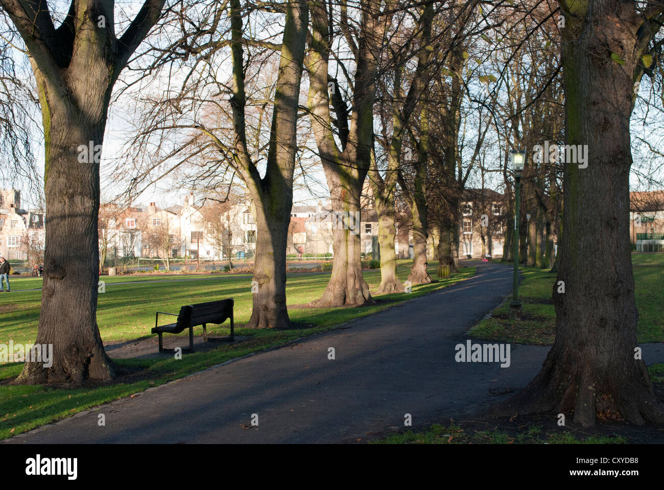 Path line with bare trees through the middle of Christ's Pieces park ...