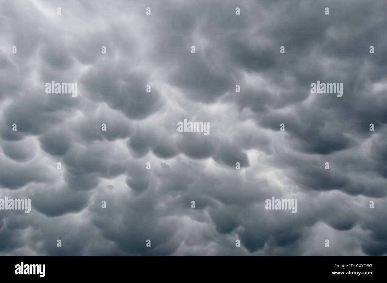 Mammatus clouds, cellular pattern of pouches hanging underneath the ...