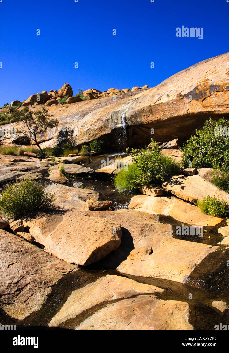 Brandberg namibia hi-res stock photography and images - Alamy