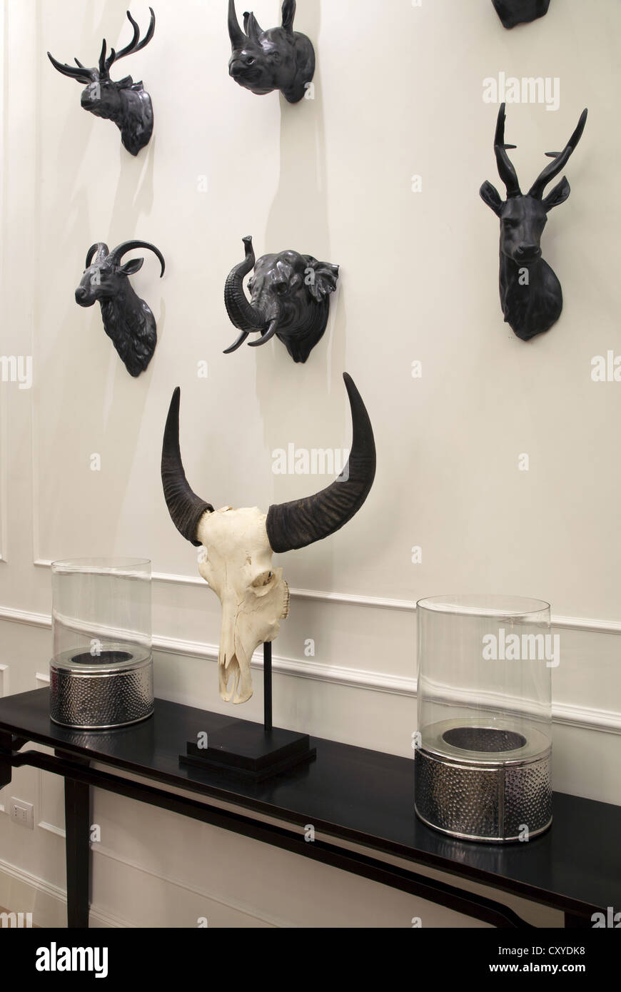 Wall in a house with plenty wild animals hunting trophy Stock Photo - Alamy