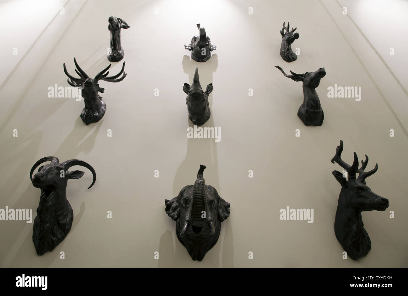 Wall in a house with plenty wild animals hunting trophy Stock Photo - Alamy