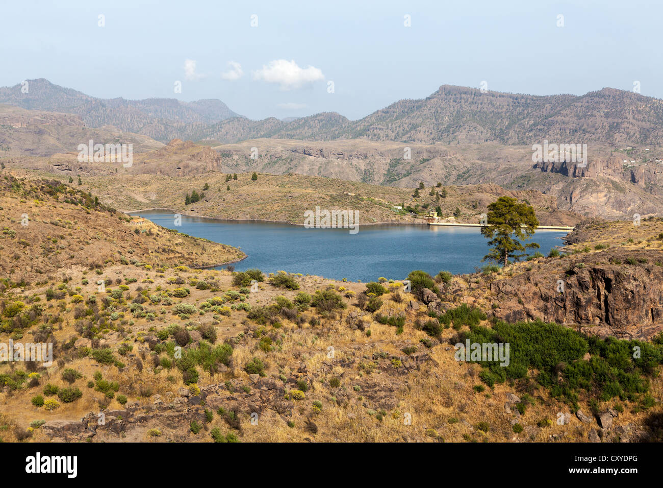 Lake El Juncal, a small reservoir in the Pinar de Pajonales National ...