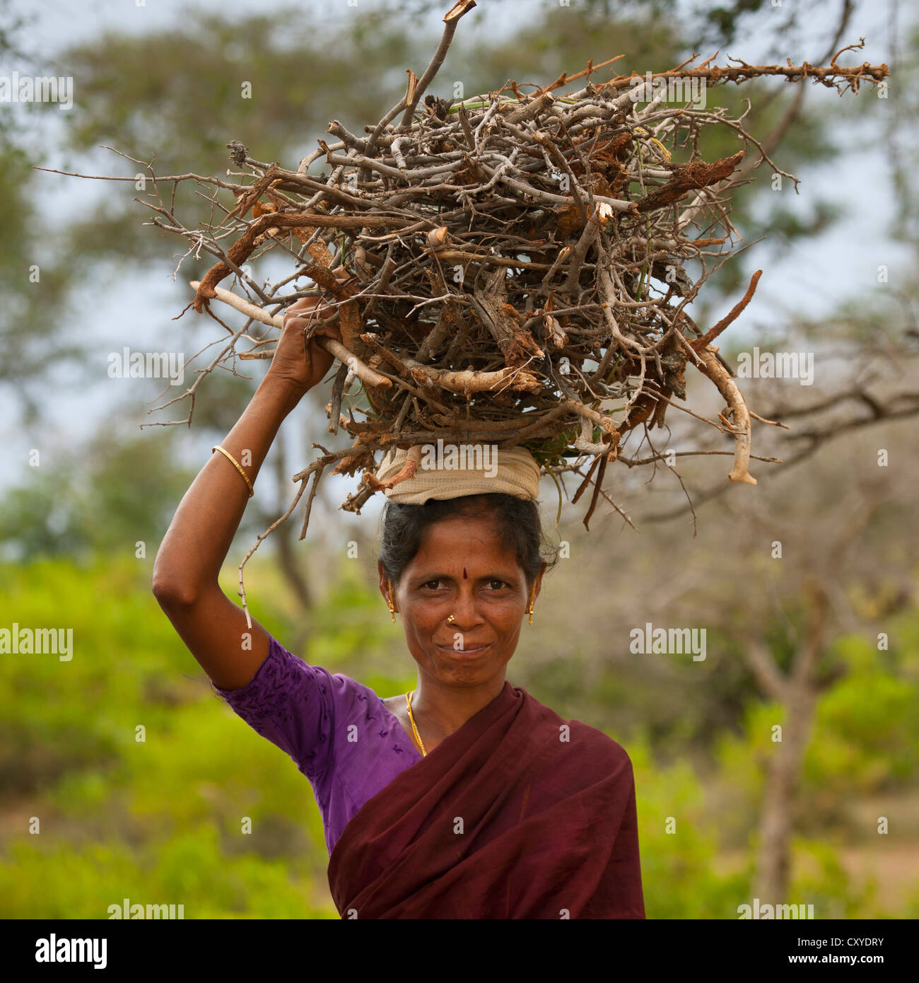 India indian chettinad tamil nadu travel woman hi-res stock photography ...