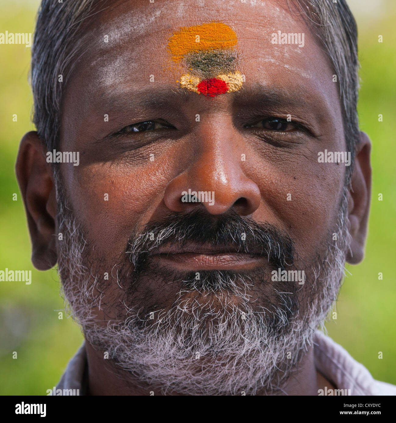 Portrait Of An Indian Man With Traditional Painting On His Forehead And ...