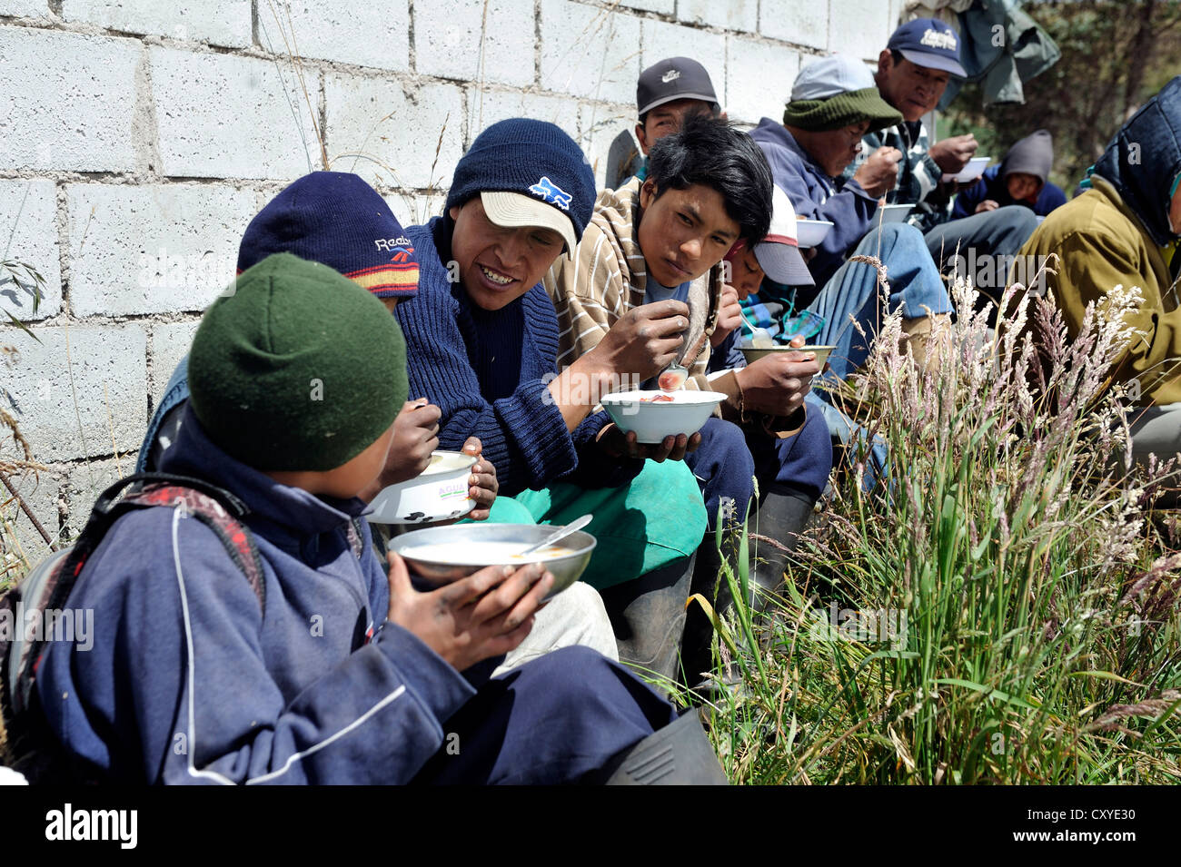 Human Food Pipe High Resolution Stock Photography and Images - Alamy