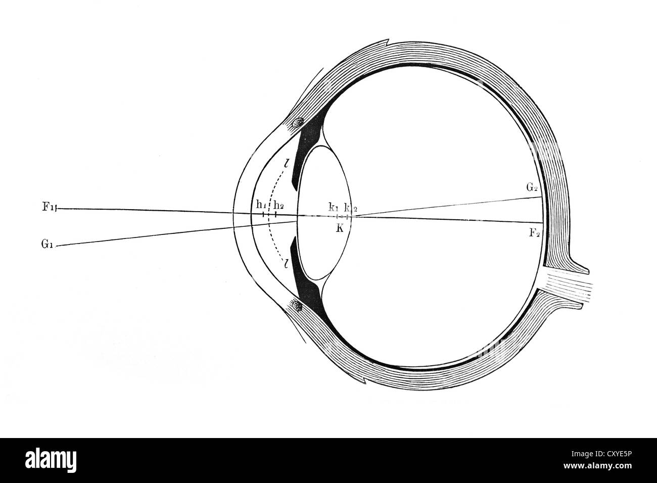Schematic picture hi-res stock photography and images - Alamy